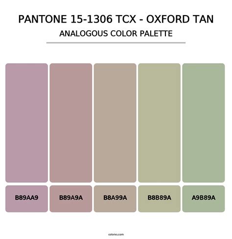 Pantone Tcx Oxford Tan Color Palettes Colorxs