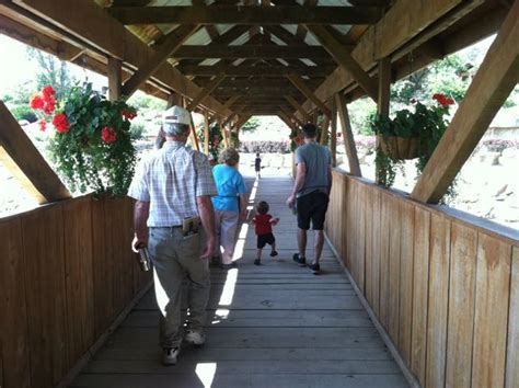 Daytrip The Farm At Walnut Creek