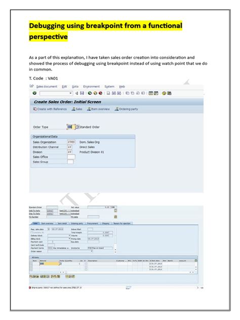 debugging from functional perspective pdf