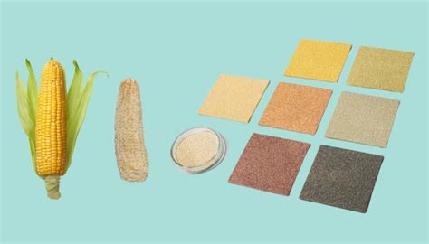 Cornwall Cladding Sustainability In The Construction Industry Dakoa