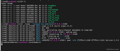 Java整合nsq实时分布式消息平台nsq Java Csdn博客