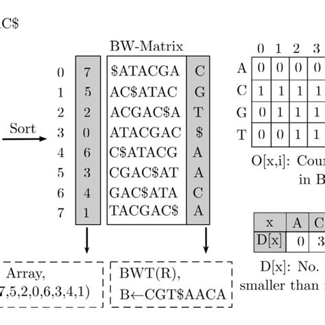 FM Index S B D O And BW Matrix For Sample Reference Sequence R