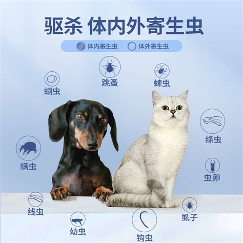 狗狗体外驱虫药体内外一体猫咪宠物跳蚤蜱虫犬用滴剂3支非泼罗尼虎窝淘