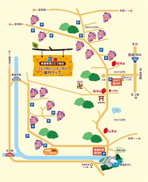 園内マップ 青蓮寺湖ぶどう組合
