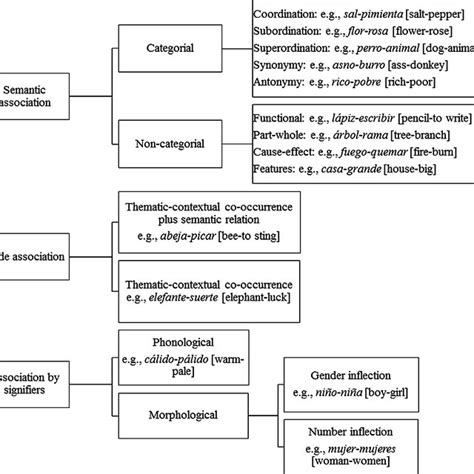 Types Of Lexical Relations Semantic Association Wide Association And Download Scientific