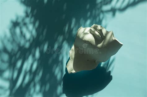 A Fragment Of An Antique Sculpture A Piece Of A Face On A Blue