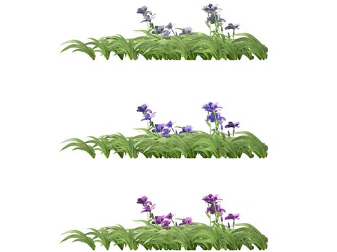Iris Tectorum Roof Iris 3d Model By 3dgardenplants