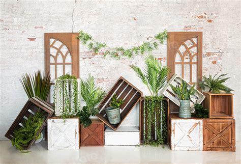 Kate Green Plants Backdrop Brick Wall For Photography