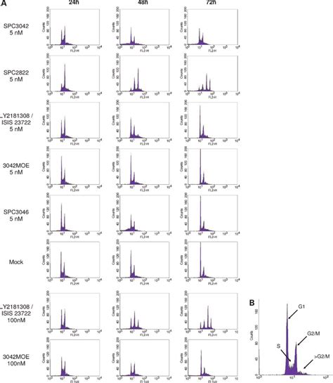 A And B Fluorescence Activated Cell Sorting Analysis Of The Cell Cycle Download Scientific