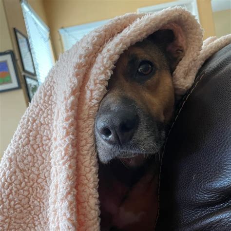 Desiree Challice On Linkedin Peakfitnesspalmcoast Fitnesspros