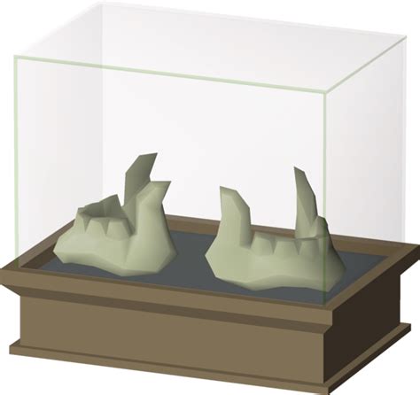 Filesmall Fossil Display Biclopse Spinepng Osrs Wiki
