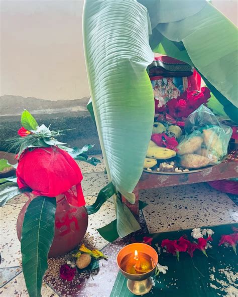 आप सभी को हरियाली तीज की शुभकामनाएँ 🙏 भोलेनाथ सभी सुहागिनों का सुहाग