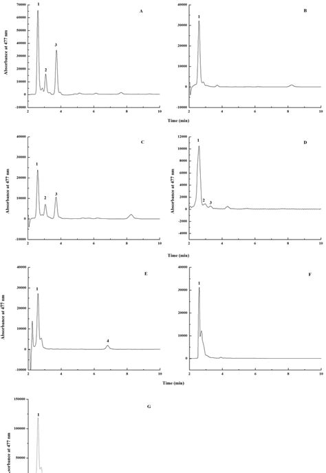 Hplc Analysis Of Carotenoid Products Extracted From E Coli Zeax