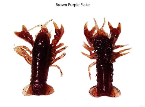 Solid Injected Huddle Bug