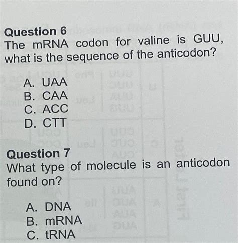 [answered] Question 6 The Mrna Codon For Valine Is Guu What Is The Kunduz