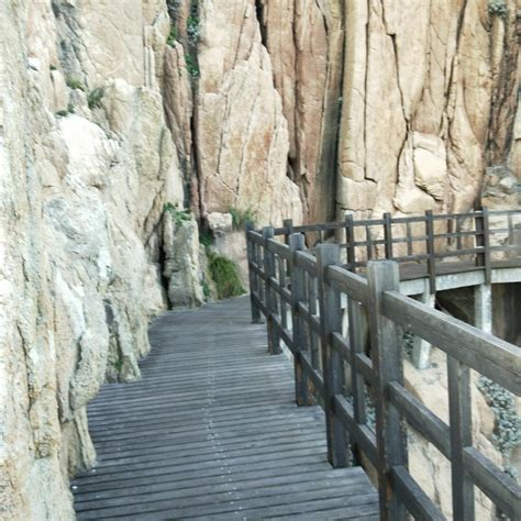 2019花鸟岛 旅游攻略 门票 地址 游记点评 嵊泗旅游景点推荐 去哪儿攻略社区