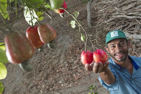 Ministro Diz Que Governo Vai Retomar A Reforma Agrária