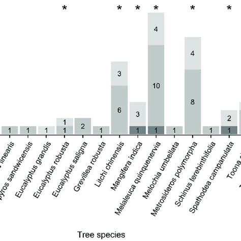 Roost Tree Species Used By ōpeapea Lasiurus Semotus By Sex O ¯ Download Scientific