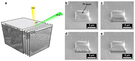 Figure S3 Description Of The FIB Procedure A Schematic Download Scientific Diagram