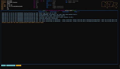 calico node xxxx hit error connecting to datastore in a newly setup