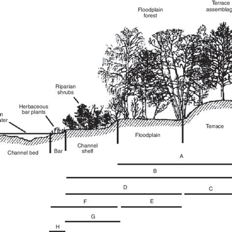 Tip Up Mound Generation And The Development Of Pit And Mound Topography