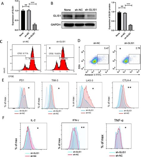 Glis1 Intervention Enhances Anti Pd1 Therapy For Hepatocellular
