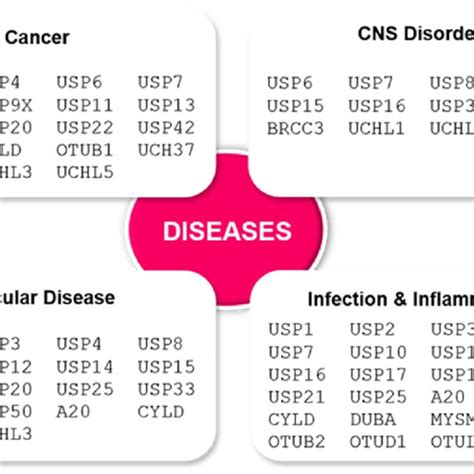 Diverse Functions And Regulations Of Deubiquitinating Or Download