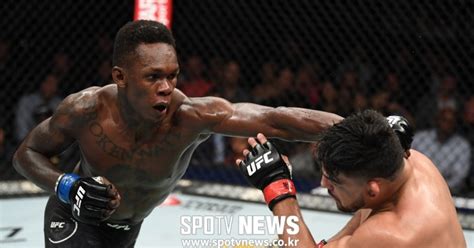 아데산야 Ufc 미들급 잠정 챔피언 등극17전 전승