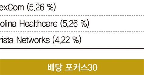 Ai가 성장·배당가치 높은 기업들 선별해 포트폴리오 구성 이런 펀드 어때요