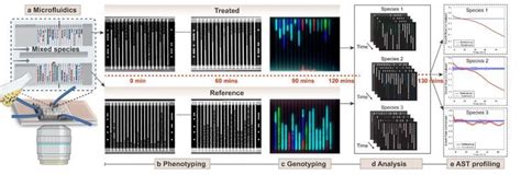 Microfluidic Device Offers New Way To Screen At Single Cell Level Artofit