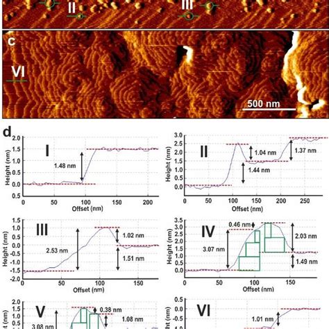 A Series Of Afm Deflection Images With Associated Cross Sectional Download Scientific Diagram