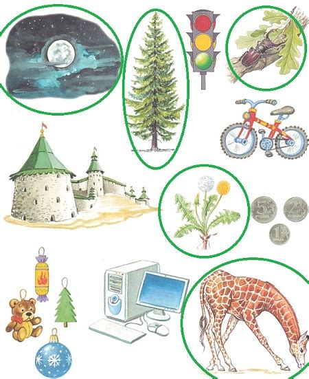 ГДЗ по Окружающему миру 1 класс рабочая тетрадь Плешаков Новицкая 1 часть страница 6