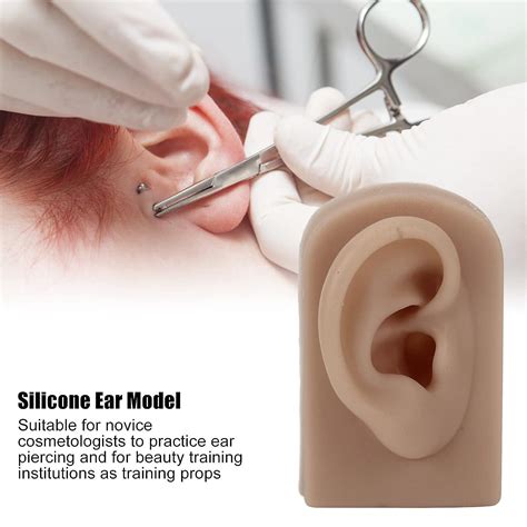 Human Silicone Ear Model For Training And Display Soft And Reusable