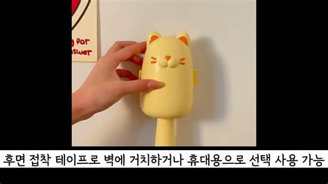 고양이 돌돌이 Youtube