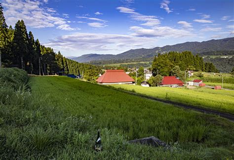 【水尾】奥信濃の地酒 飯山 醸造元 田中屋酒造店