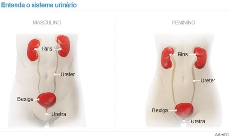 Bem Estar Urina Escura Dor E Vontade De Fazer Xixi Toda Hora São