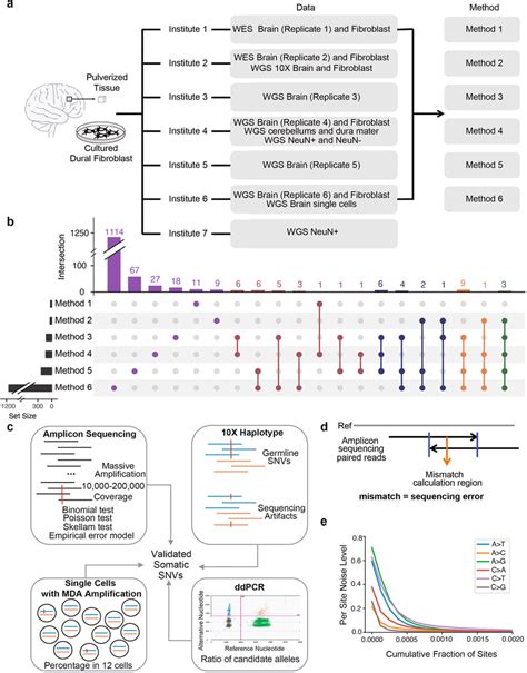 Overview Of The Mosaic Snv Discovery And Validation Pipeline A Wgs Or