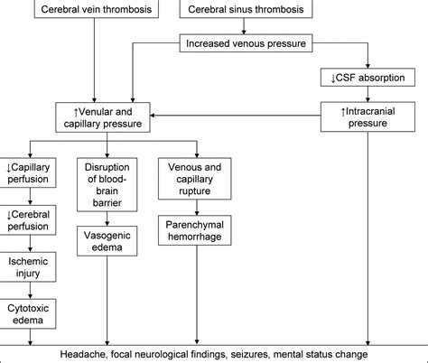 Cerebral Venous Thrombosis Circulation