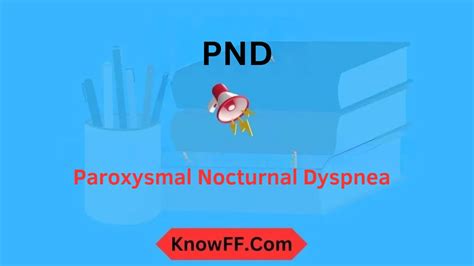 Pnd Meaning In Text A Complete Guide