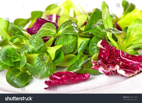 9742 Imágenes De Fancy Vegetable Plating Imágenes Fotos Y Vectores