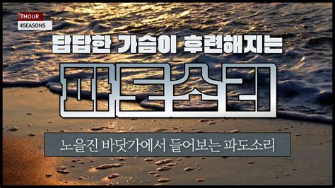 7 Hour 노을진 바닷가에서 들어보는 파도소리 해질 녘 파도소리 답답한 가슴이 후련해지는 파도소리 백색소음