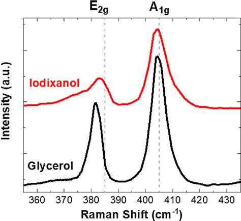 Representative Raman Spectra Of The Mos 2 Structures Grown With