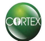 МЦ "Cortex" г. Москва | Moscow