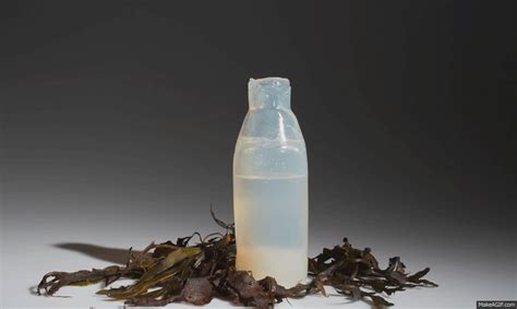 Biodegradable Water Bottles Made From Algae