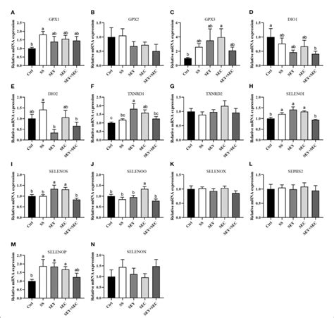 Figure Eeects Of Diierent Se Sources On The Mrna Expression Of Download Scientific Diagram