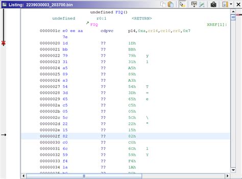 Unable To Disassemble Certain Statements Of Raw Binary Even After Manual Disassembly Issue