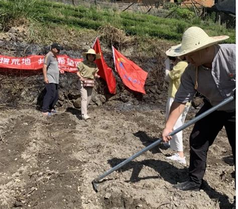 【争优争先争效】助力乡村振兴丨武夷山市检察院开展“盘活撂荒地 共耕希望田”主题党日活动澎湃号·政务澎湃新闻 The Paper
