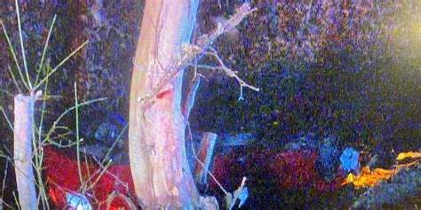 One Person Transported To Hospital In Early Morning Crash