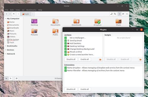 How To Replace Nautilus With Nemo File Manager On Ubuntu Or Popos
