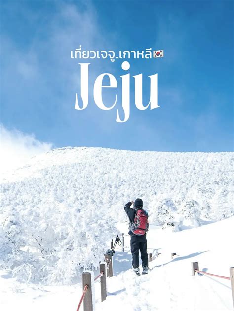 เที่ยวเกาะเจจู เกาหลี🇰🇷ฟิลขาวโพลน ️ แกลเลอรีที่โพสต์โดย Unithaitrip
